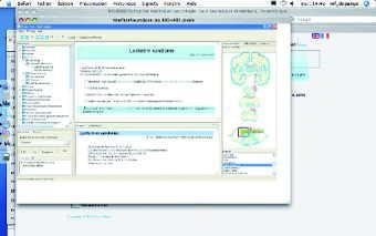 NeuroBoss, base de connaissances en neurologie | Le Quotidien du ...